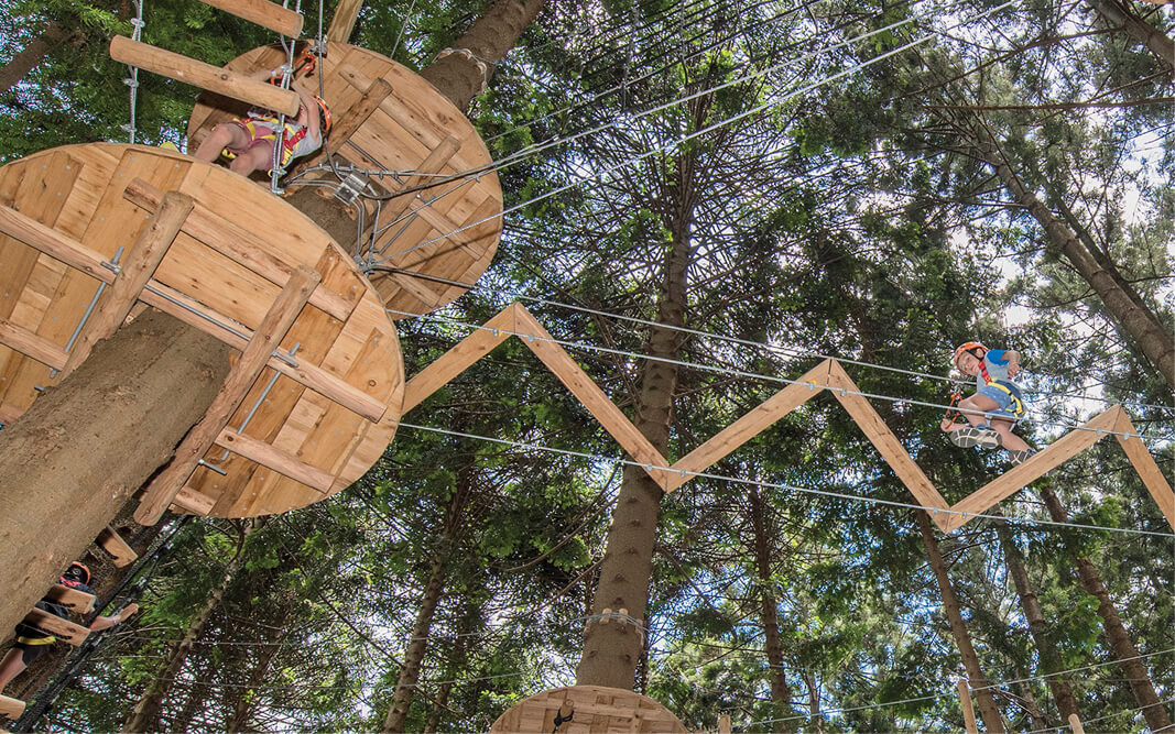 Treetops The Hills hosts grant recipient, The Shepherd Centre.