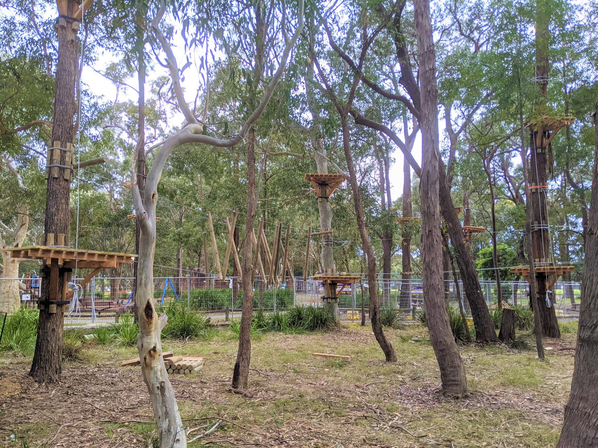 St Ives new build - Treetops Adventure